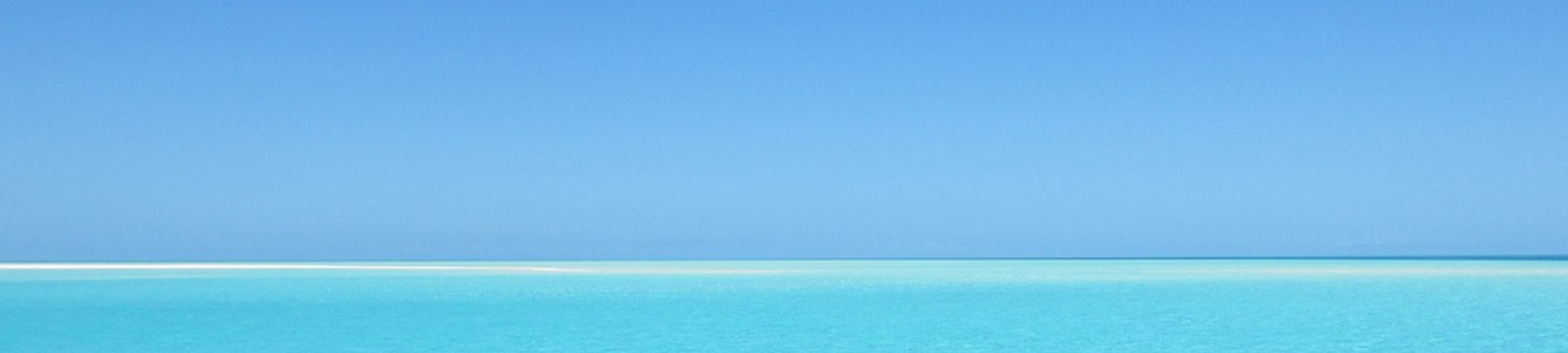 ENGLING ＝ 英語 × カウンセリング | 大人のやり直し英語.初心者の独学勉強法．